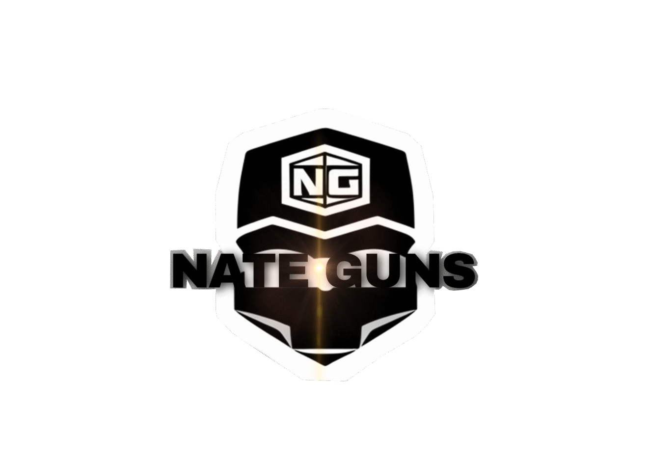 Flux Defense Raider | Nate Guns Shop